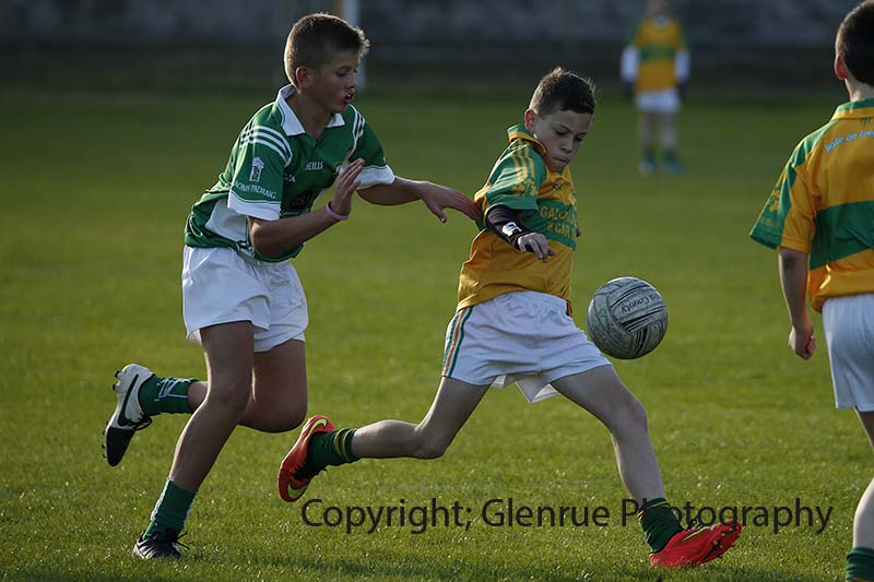 ballylanders county champions 2014 (87) | Glenrue Photography